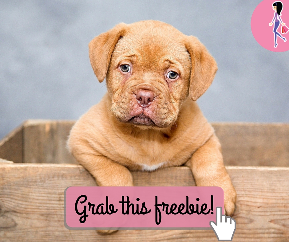 Pet Food Sample -CatchyFreebies