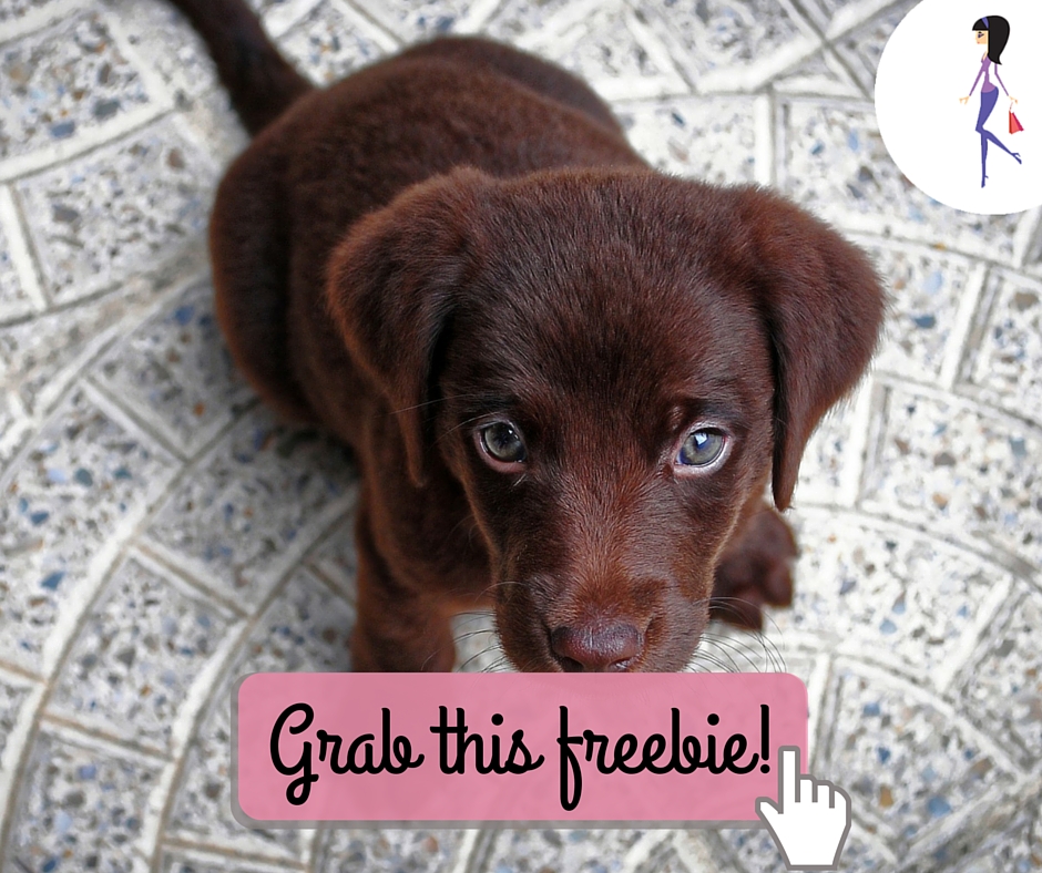 Petcurean Pet Food Sample -CatchyFreebies