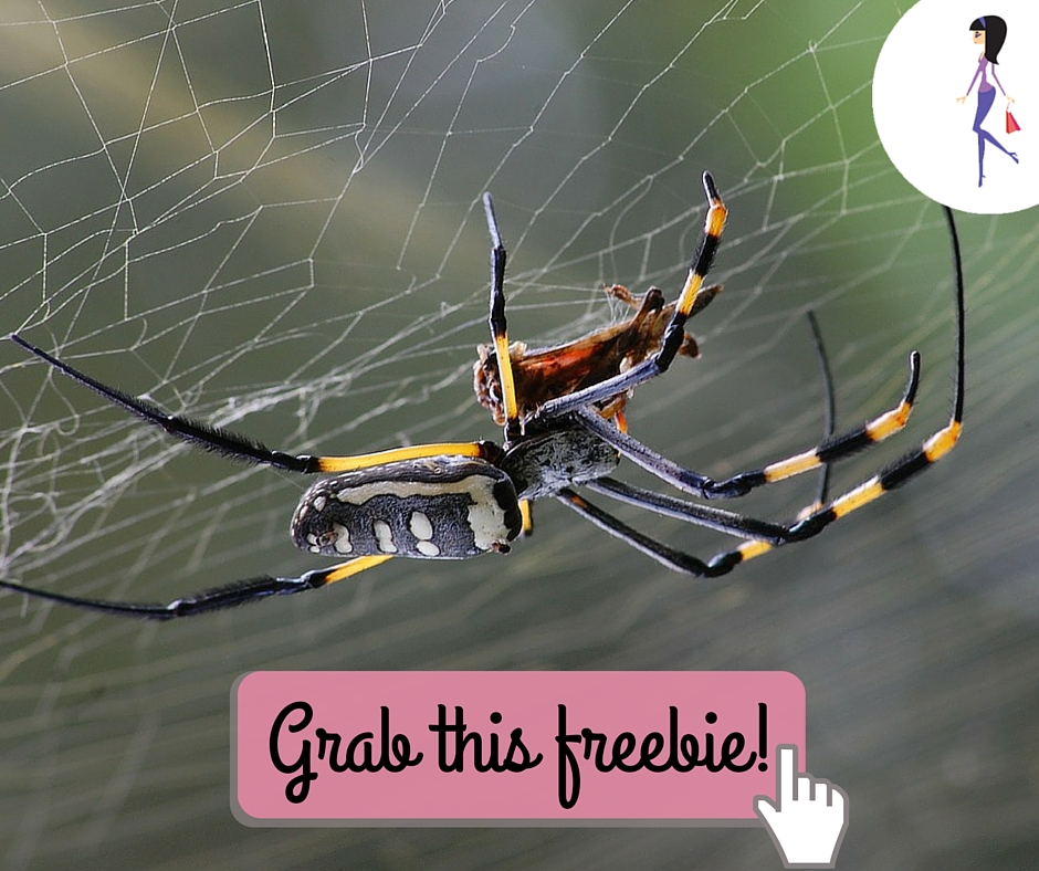 Free Spider Identification Chart -CatchyFreebies