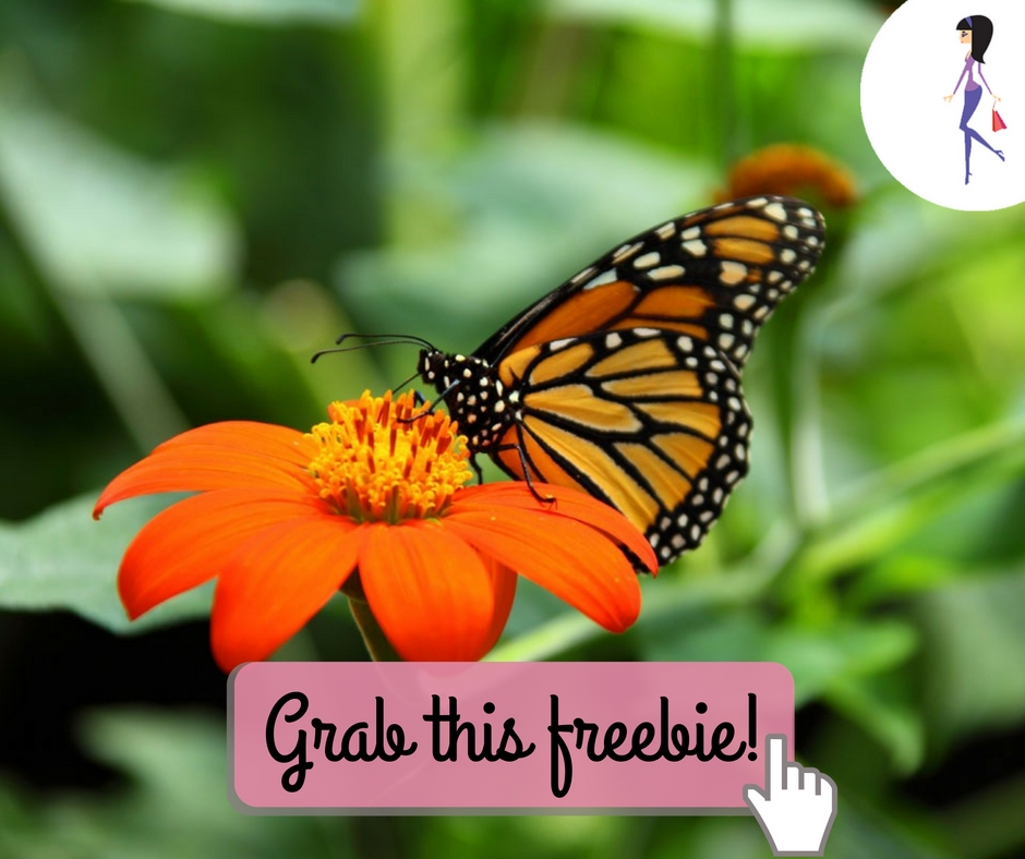 Free Butterfly Garden Starter Set -CatchyFreebies