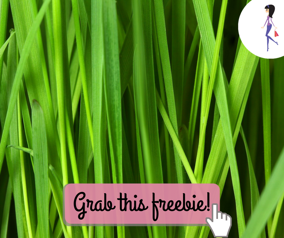 Artificial Grass Sample Catchyfreebies