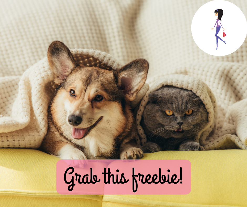 Free Pet Safety Pack -CatchyFreebies
